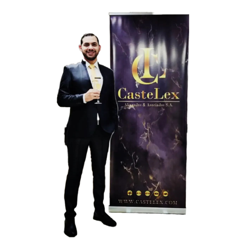 Consultoría en Negocios - Castelex